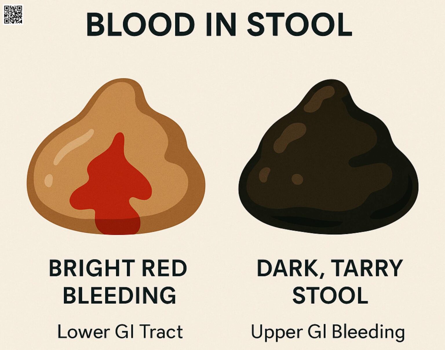 What Is Stool? Meaning, Color Changes, Textures, and Health Warnings